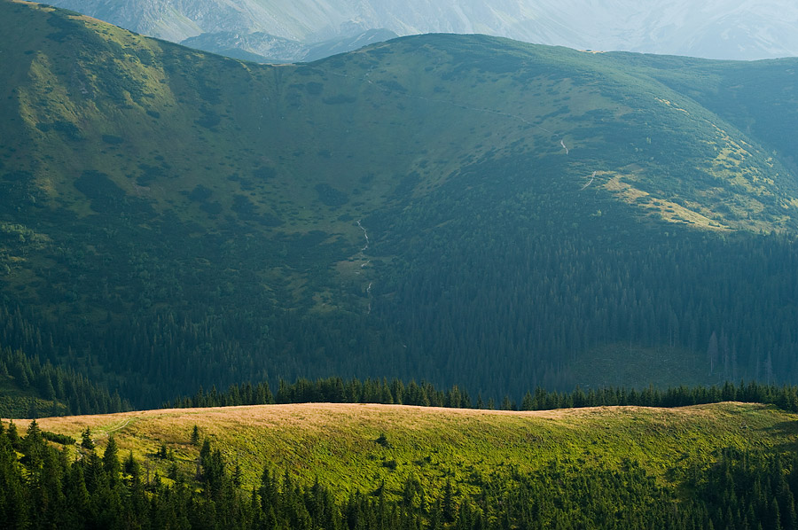 Polana (Tatry Zachodnie 2008)